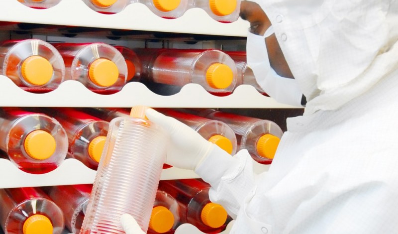 Julphar Gulf Pharmaceutical Industries - Gallery